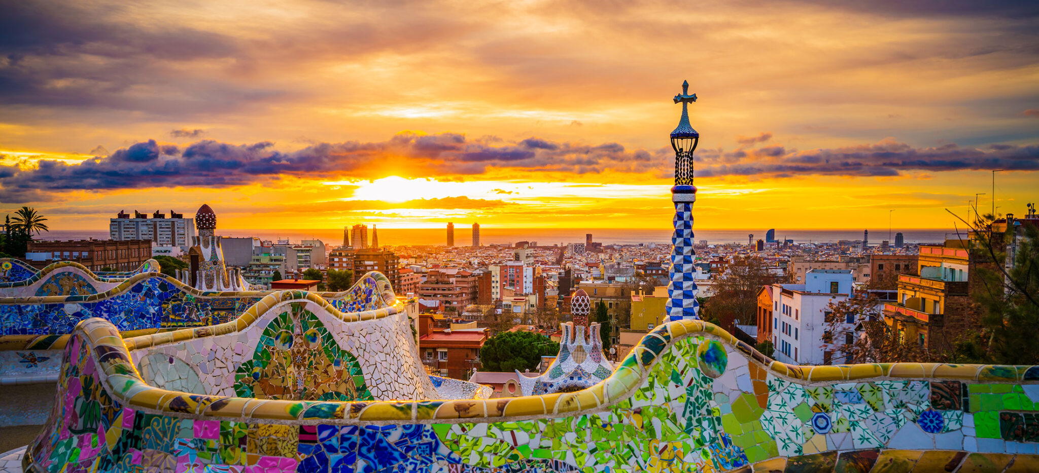 Skin CEO – Create | Empower | Own